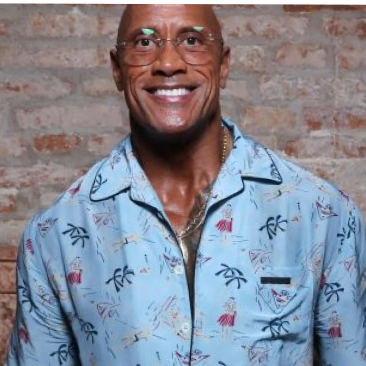 Finalement, Dwayne Johnson se lance (presque) dans le MMA